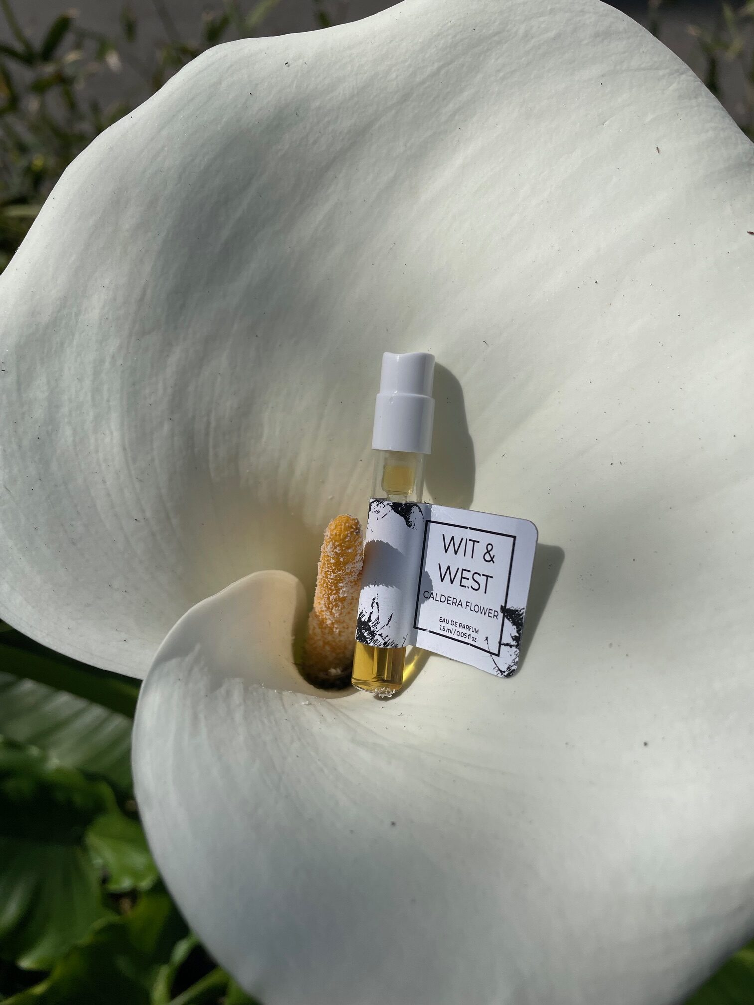 Wit & West Caldera Flower - I Sniff Before I Sleep